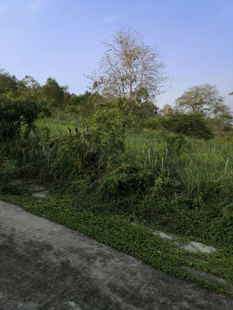 273 Lot in Eastridge Golf, Angono, Rizal, Property, For Sale, Lot on ...