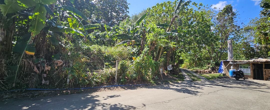 Bucal Lot For Sale, Calamba City, Laguna (Good for Resort), Property ...