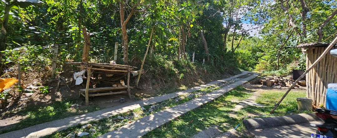 Bucal Lot For Sale, Calamba City, Laguna (Good for Resort), Property ...