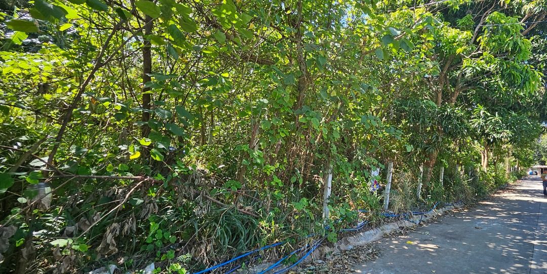 Bucal Lot For Sale, Calamba City, Laguna (Good for Resort), Property ...