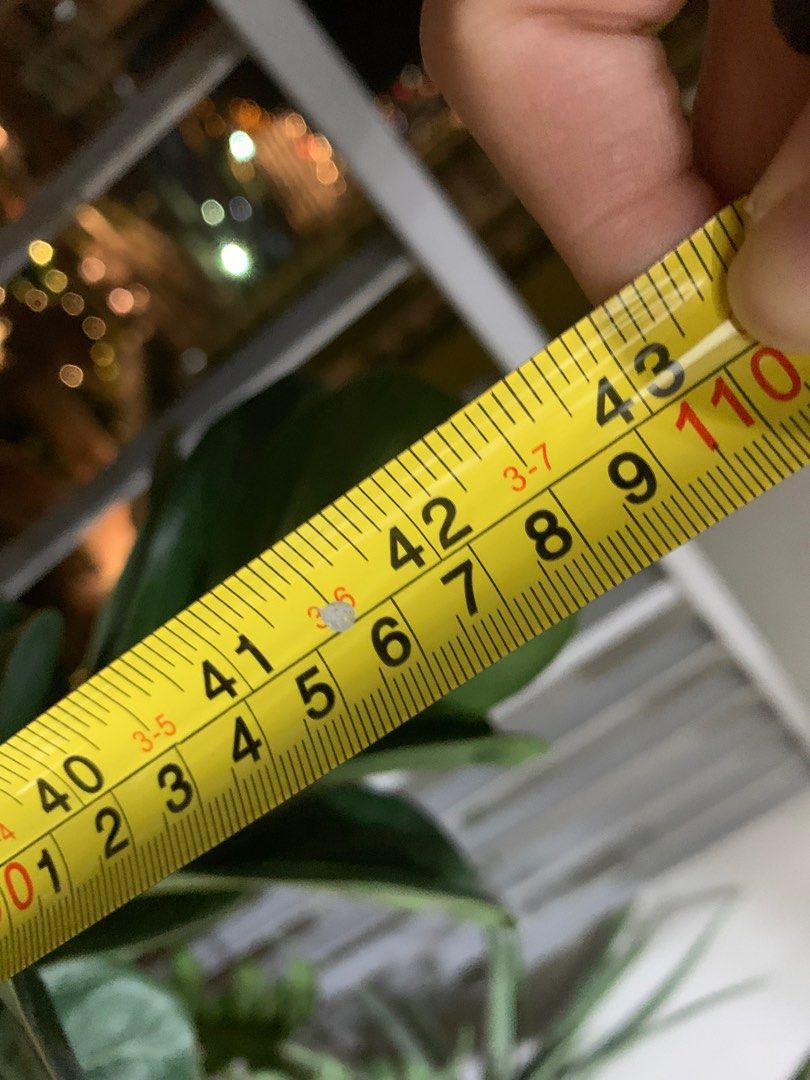 Fiddle-leaf Fig Live Plant 琴叶榕, Furniture & Home Living, Gardening ...