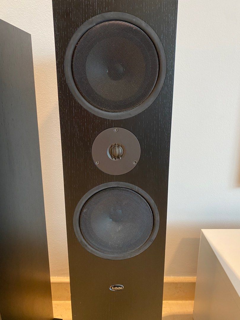 Linn Ninka Floorstanding Speakers, Audio, Soundbars, Speakers ...