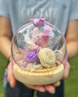 Sunflower Glass Dome | Preserved Flower, Hobbies & Toys, Stationery ...