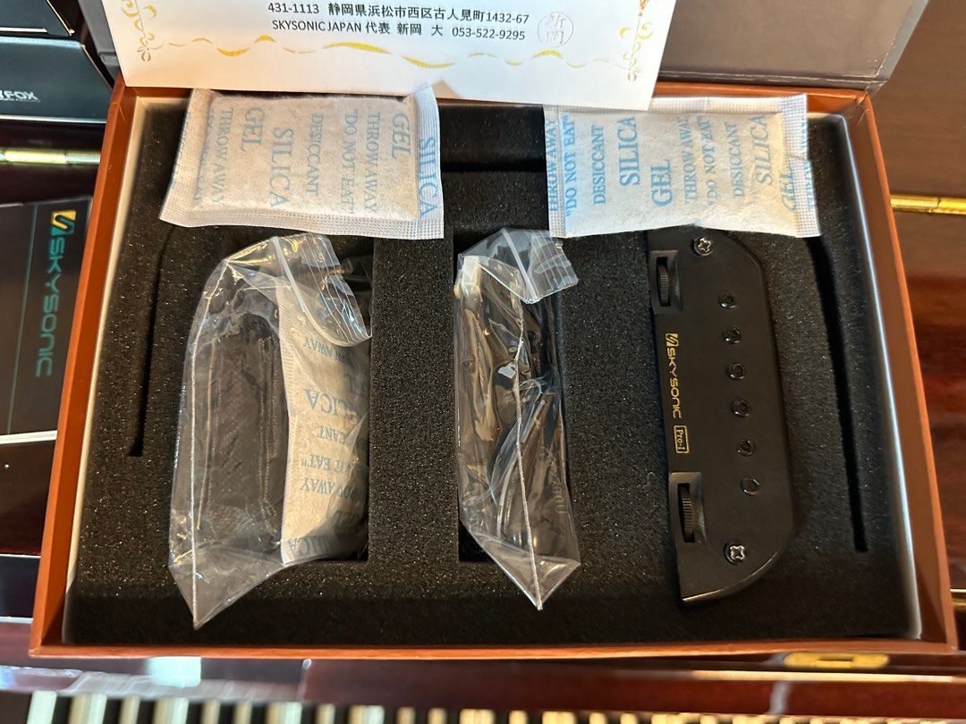 Skysonic Pro 1/ Pro One, Hobbies & Toys, Music & Media, Music ...