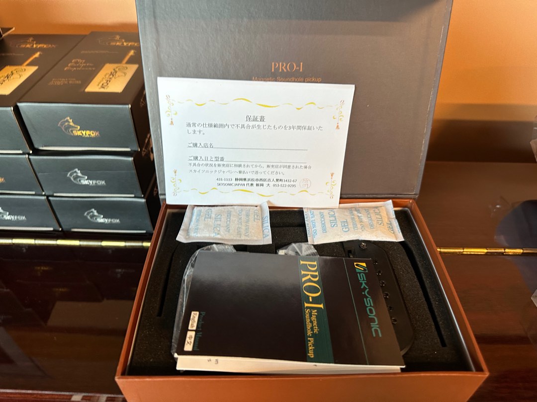 Skysonic Pro 1/ Pro One, Hobbies & Toys, Music & Media, Music ...