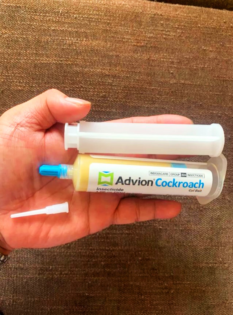 Advion Cockroach Gel Bait 30g (1 Tube + Plunger), Furniture & Home ...