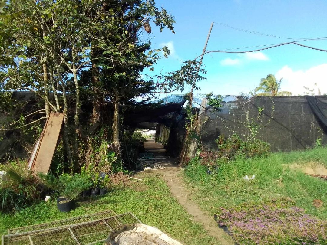 Amadeo Cavite Flower farm for sale 1.8 hectares P3,800/sqm Clean Title ...