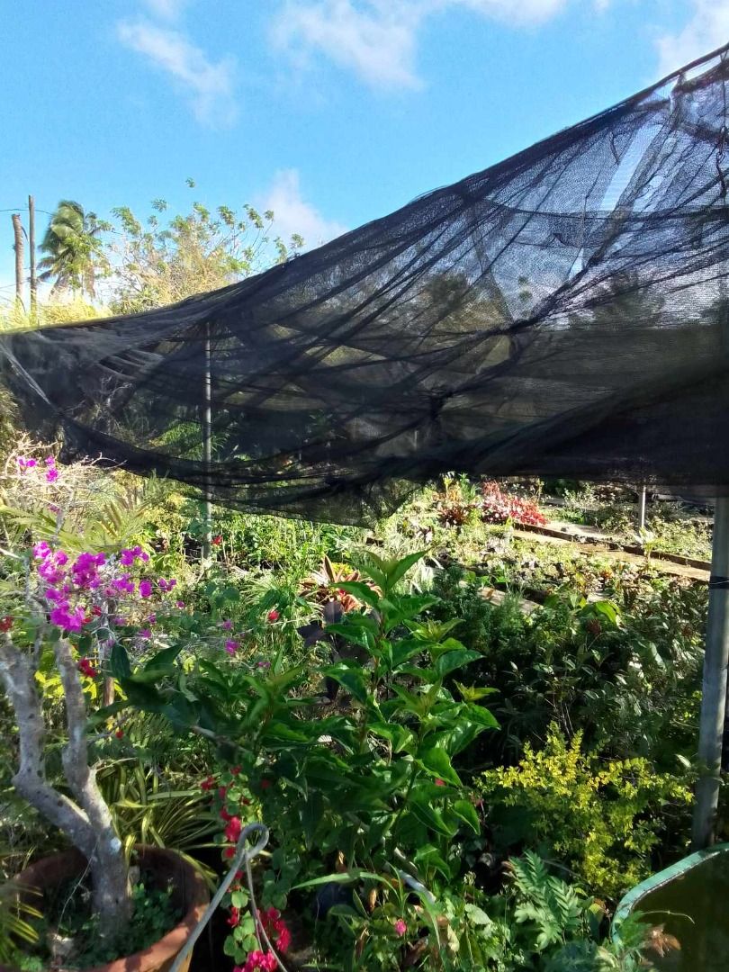 Amadeo Cavite Flower farm for sale 1.8 hectares P3,800/sqm Clean Title ...