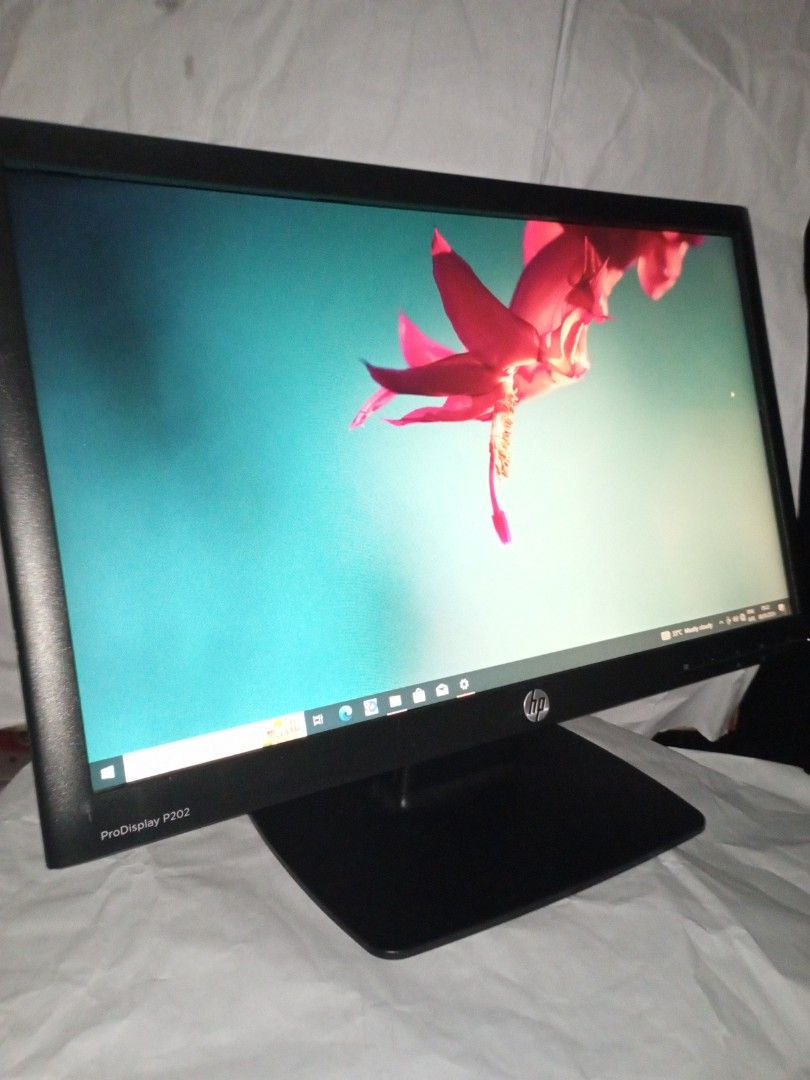 HP Pro display P202 20 inch LED Monitor, Computers & Tech, Parts ...