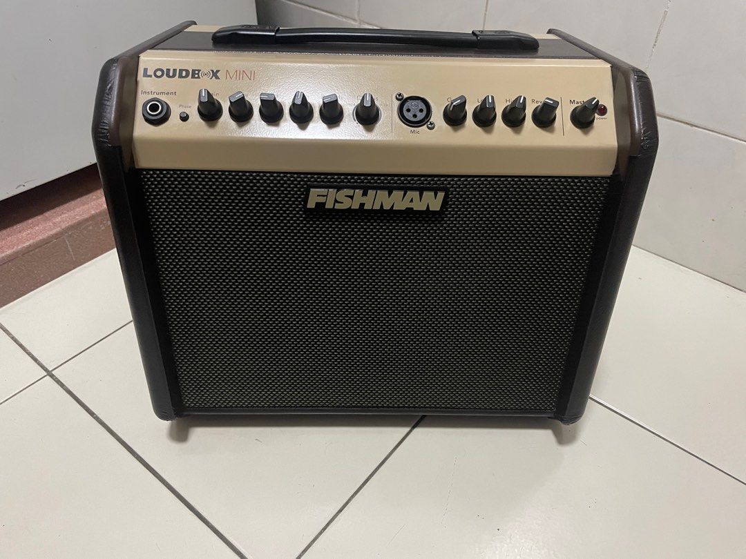 Fishman Loudbox Mini with Custom Leather Tolex and Riser, Hobbies ...