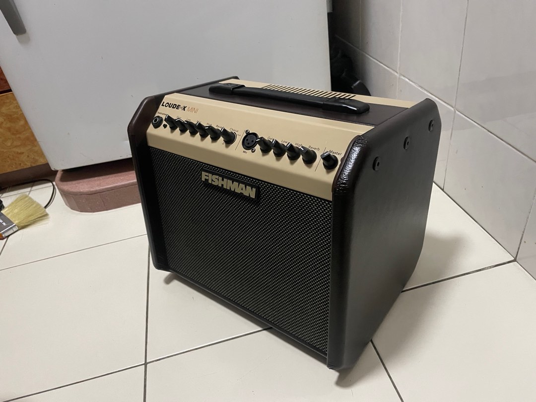 Fishman Loudbox Mini with Custom Leather Tolex and Riser, Hobbies ...