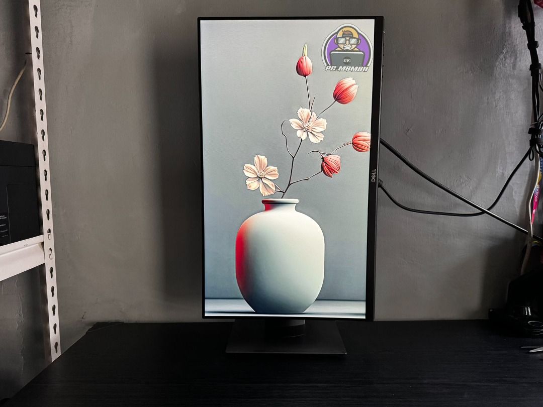 Monitor: Dell 24inches P2419H Frameless Monitor IPS Panel Rotatable ...