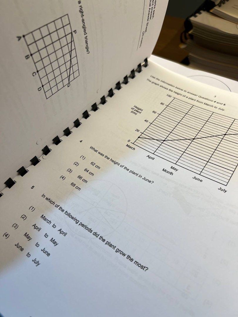 PSLE 10-year series (past year papers) Mathematics and English topical ...