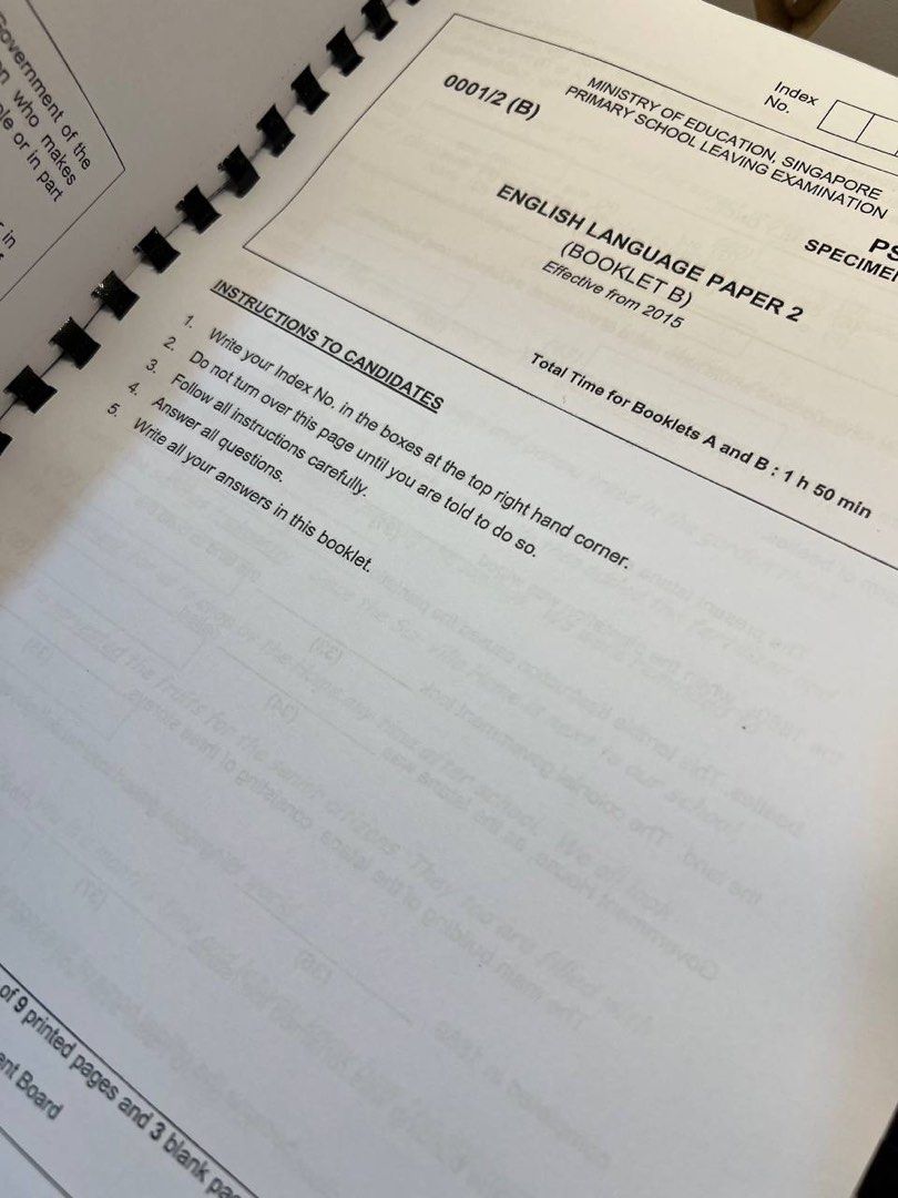 PSLE 10-year series (past year papers) Mathematics and English topical ...