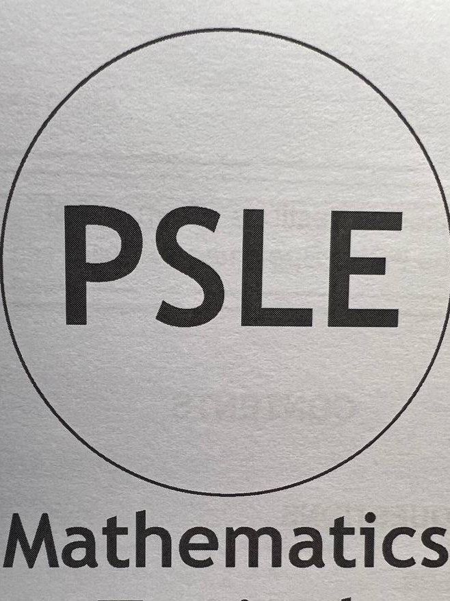 PSLE 10-year series (past year papers) Mathematics and English topical ...