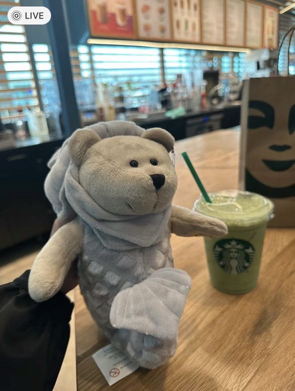 Singapore Starbuck Plush Toy 2024 (Limited edition), Hobbies & Toys ...