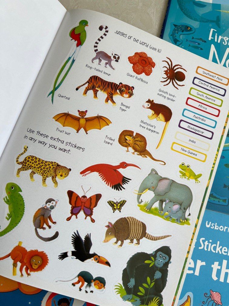 Usborne STICKER Book, Hobbies & Toys, Books & Magazines, Children's ...
