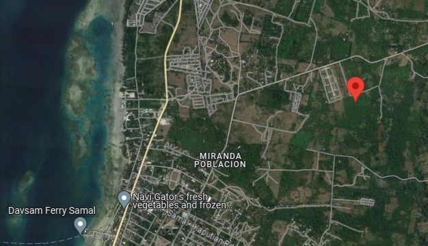 1.8 Hectares Samal Davao Del Norte, Property, For Sale, Memorial Lot on ...