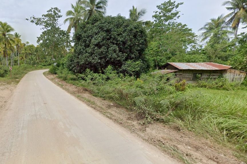 1.8 Hectares Samal Davao Del Norte, Property, For Sale, Memorial Lot on Carousell
