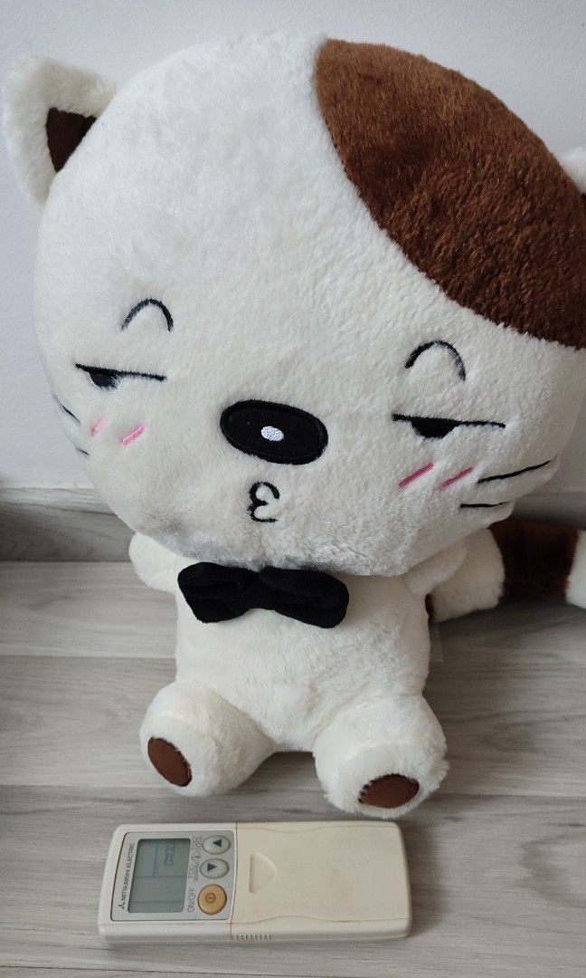 Arrogant cat soft toy, Hobbies & Toys, Toys & Games on Carousell