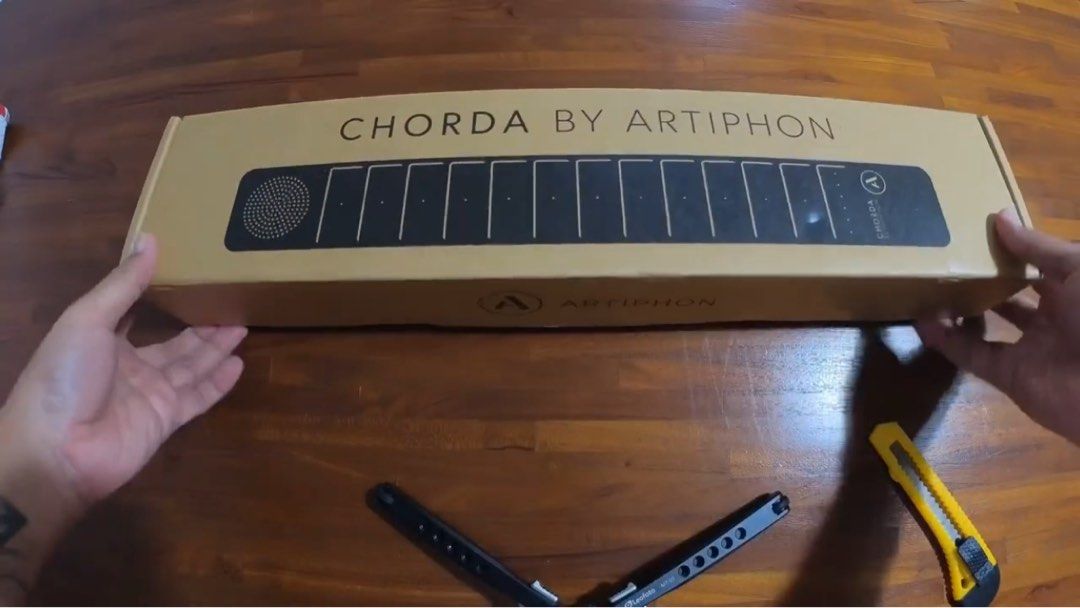 Artiphon Chorda (Brand New), Hobbies & Toys, Music & Media, Musical ...