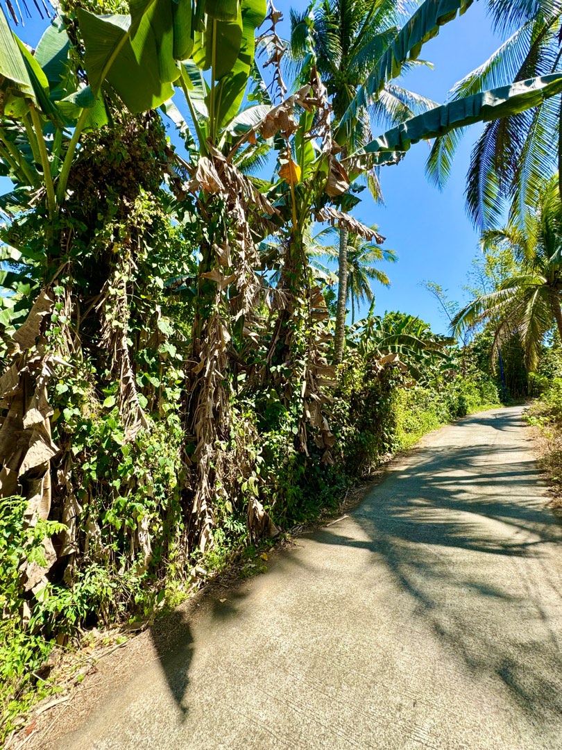 Lot for Sale in Cabilang Baybay, Carmona Cavite, Property, For Sale ...