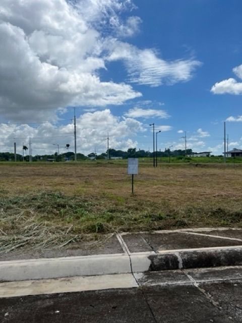 250sqm Lot for sale at Caleia Vermosa By Alveo Land | Vermosa Imus ...
