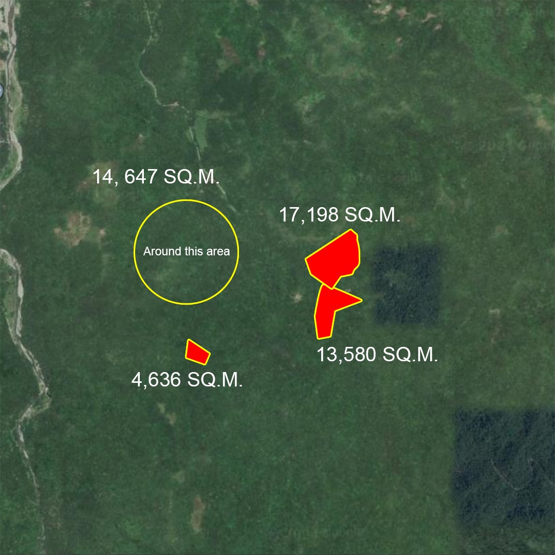 For Sale Per Title of 13 Hectare Coconut Farm & Hardwood Trees ...