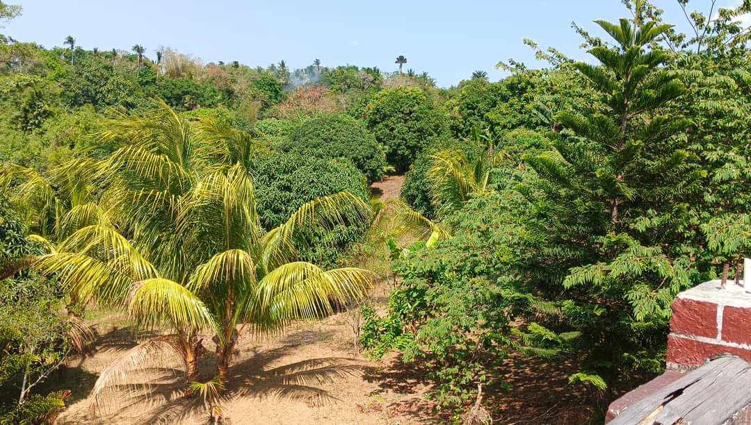 Indang Cavite Dragon Fruit Farm with River near East-West Road 3.6 ...
