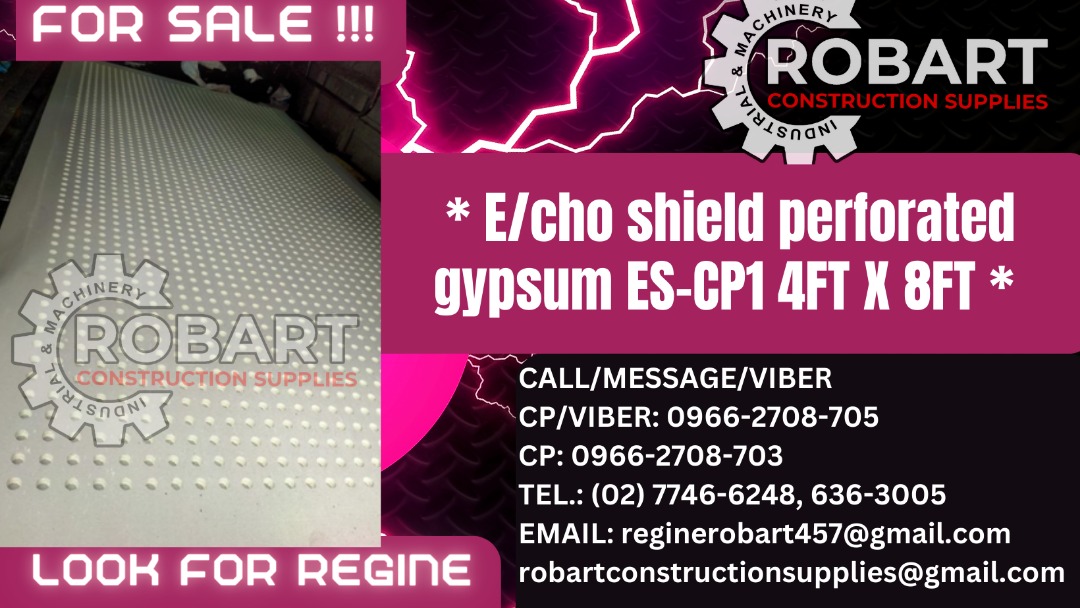 * E/cho shield perforated gypsum ES-CP1 4FT X 8FT *, Commercial ...