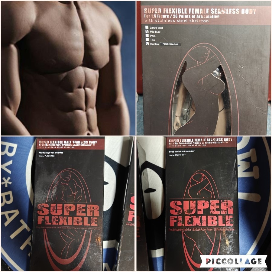 全新現貨 TBLEAGUE 1/6 SUPER FLEXIBLE MALE SEAMLESS BODY PL2018-M35 阿諾舒華辛力加 ...