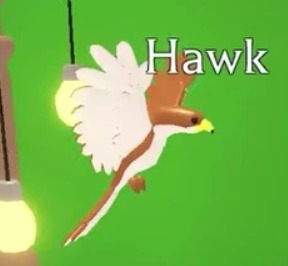 Adopt Me AM Hawk, Video Gaming, Video Games, Others on Carousell