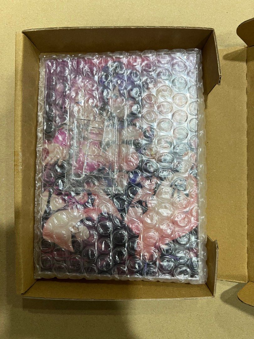 Corrupted Party ～堕ちた乙女達～ 左藤空氣 單行本(日文版) (虎之穴特典 資料夾+A6壓克力板), 書籍、休閒與玩具, 玩具、公仔、桌遊在旋轉拍賣