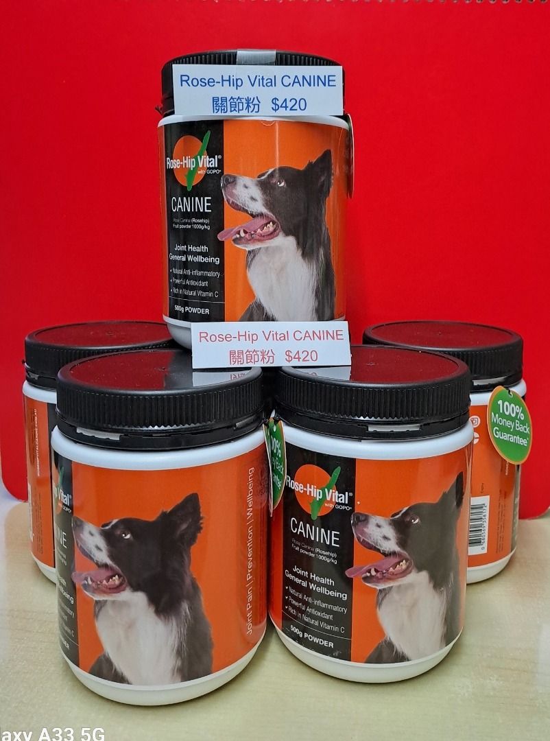 Douxo S3 pyo / calm mousse 英國慕斯狗隻皮膚殺菌液 , 寵物用品, 寵物衣服 - Carousell