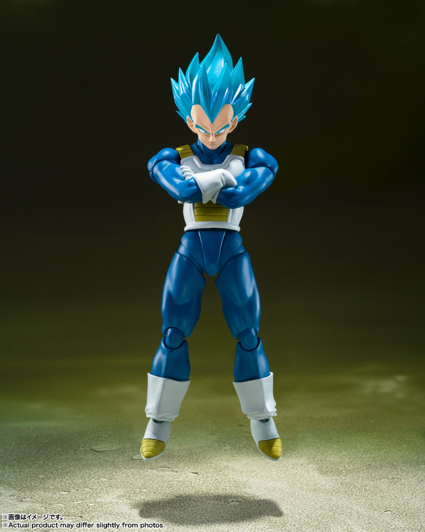 Dragon Ball : SH Figuarts SHF - Super Saiyan God Super Saiyan Vegeta ...