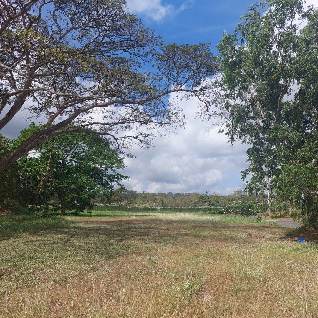 FOR SALE! Good Feng Shui MONTECITO LOTS NUVALI LAGUNA, Property, For ...