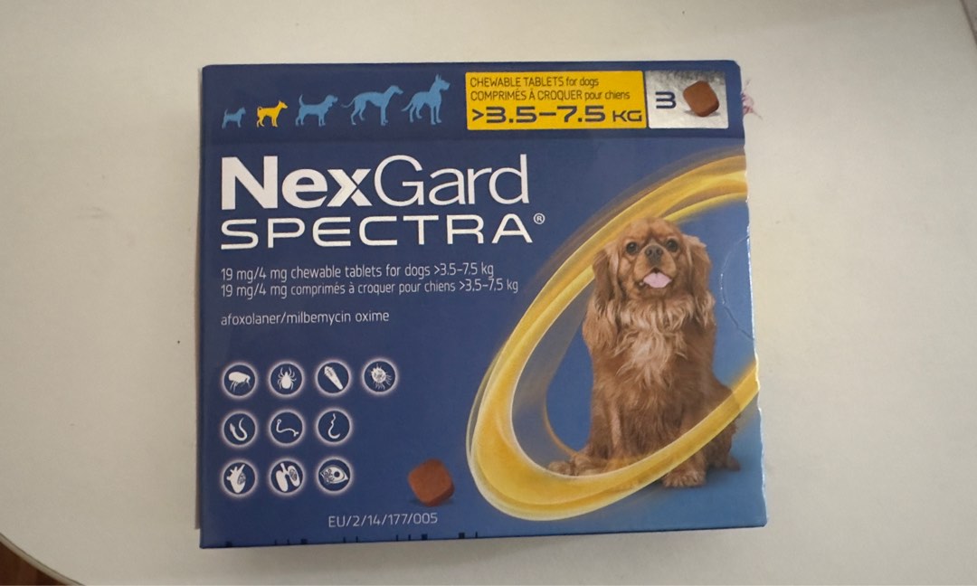 NexGard spectra for small dogs, Pet Supplies, Health & Grooming on ...
