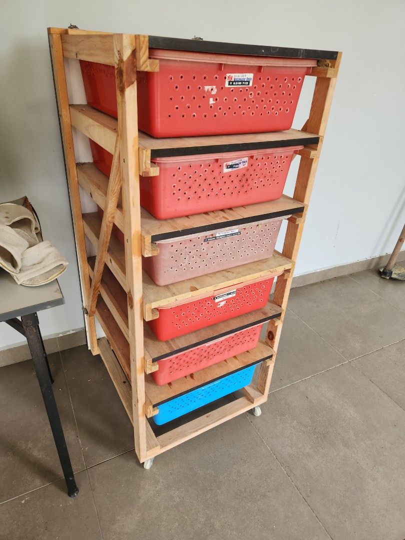 Snake python reptile rack system, Furniture & Home Living, Furniture ...