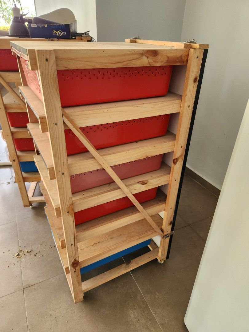 Snake python reptile rack system, Furniture & Home Living, Furniture ...