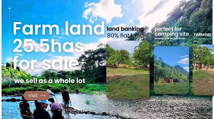 25.5 hectares Farm Lot for Agribusiness Lot for sale in Nasugbu ...
