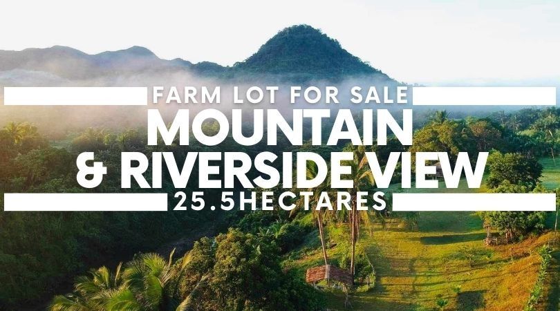 25.5 hectares Farm Lot for Agribusiness Lot for sale in Nasugbu ...