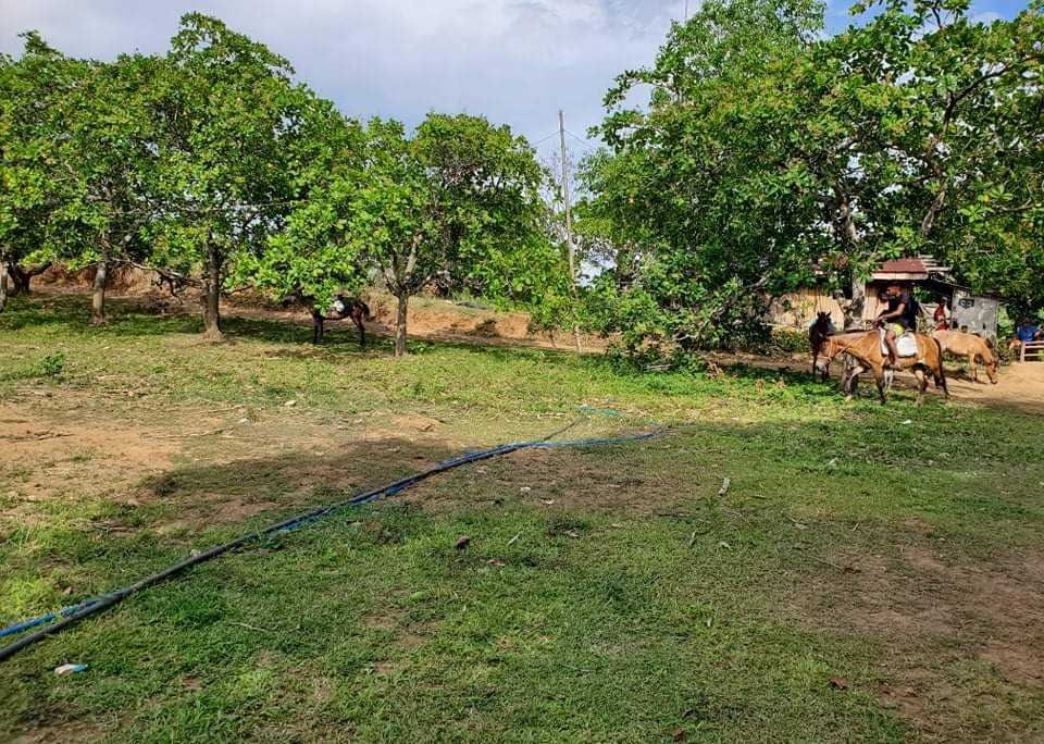 25.5 hectares Farm Lot for Agribusiness Lot for sale in Nasugbu ...