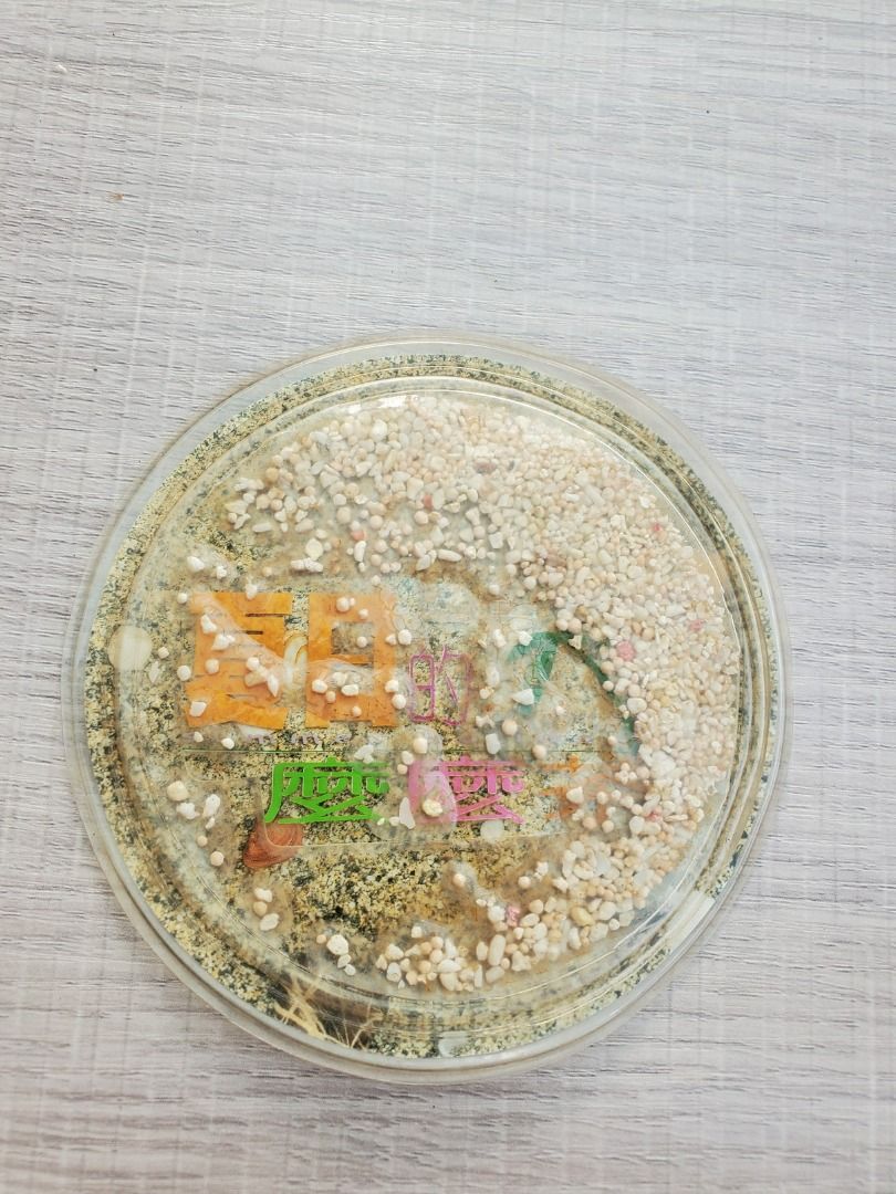 【絕版】《 夏日的麼麼茶》杯墊 Sammi 鄭秀文|任賢齊 Pond's double white電影精品(包郵), 興趣及遊戲, 收藏品及 ...