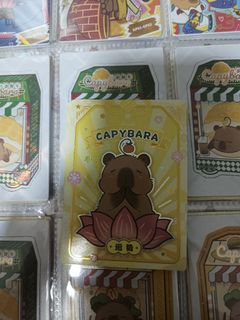 Honkai Star Rail Playing Card/ Collection Card, Hobbies & Toys, Toys ...