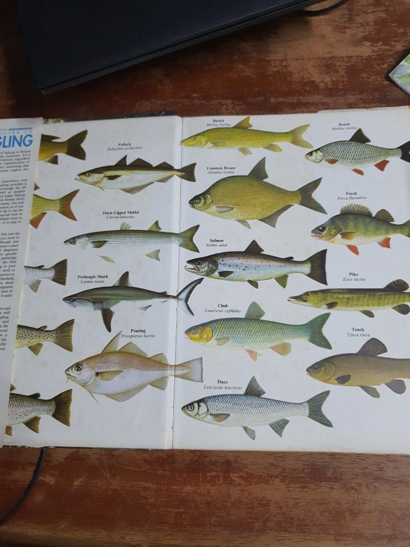 Hard Cover - The Basic Guide to ANGLING An Introduction to coarse ...