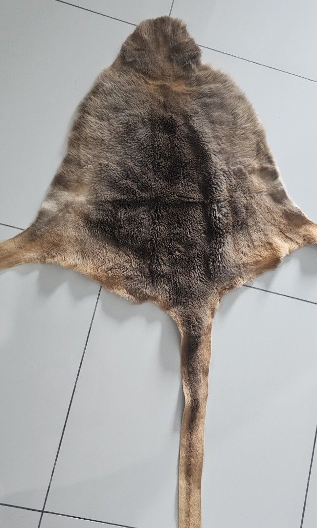 Kangaroo skin, Hobbies & Toys, Collectibles & Memorabilia, Vintage ...