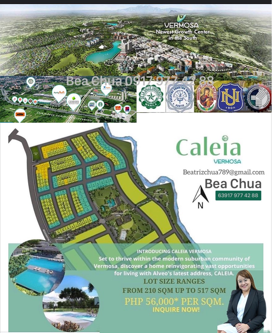 Residential Lot For Sale in Vermosa Ayala Land Alveo Caleia Ardia De La ...