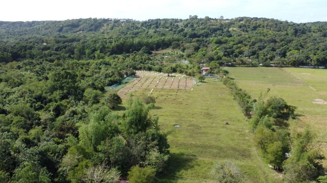 Tanay Rizal Lot 16 Hectares P350 per sqm. NET Clean Title, Property ...