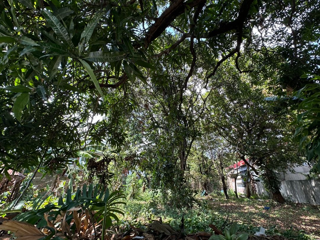 XAVIERVILLE LOT FOR SALE IN XAVIERVILLE 2 RESIDENTIAL LOTS IN QUEZON ...