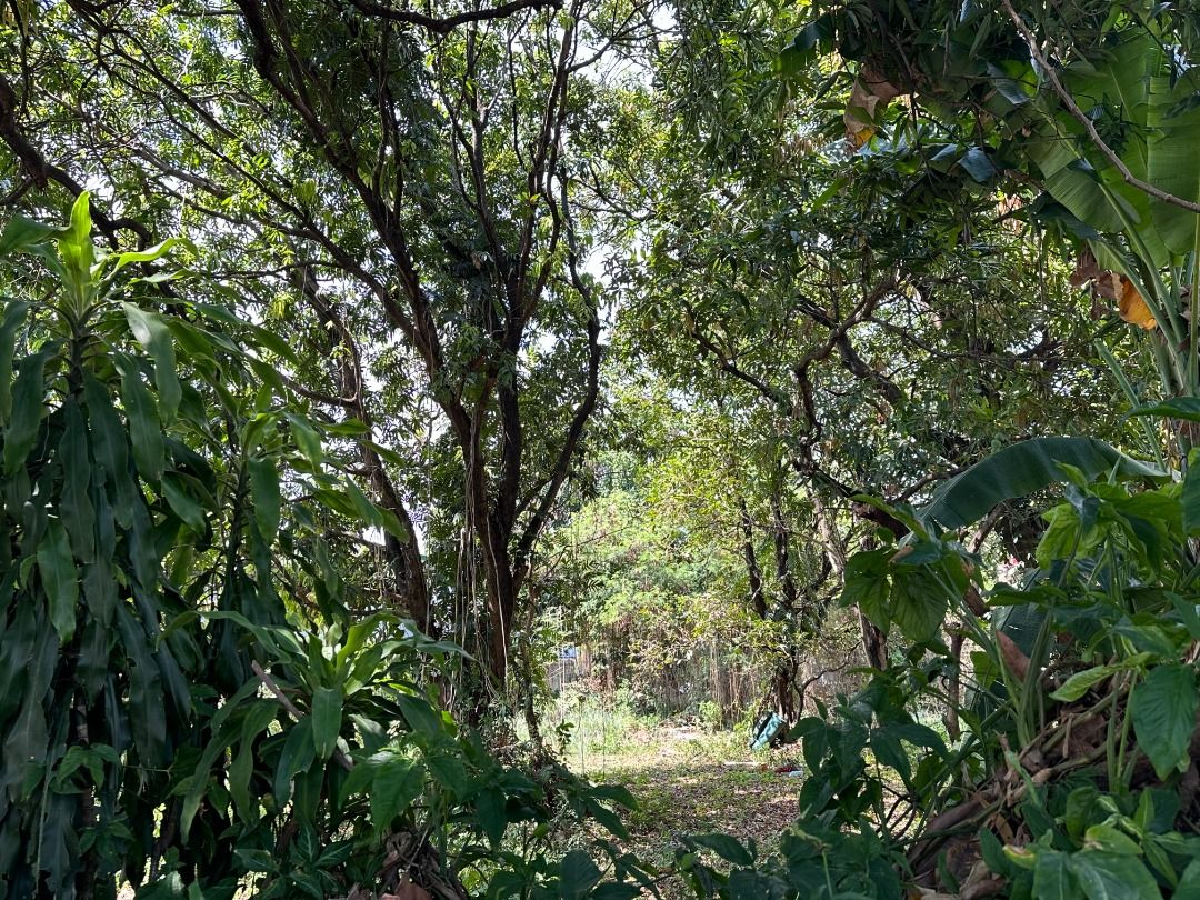 XAVIERVILLE LOT FOR SALE IN XAVIERVILLE 2 RESIDENTIAL LOTS IN QUEZON ...